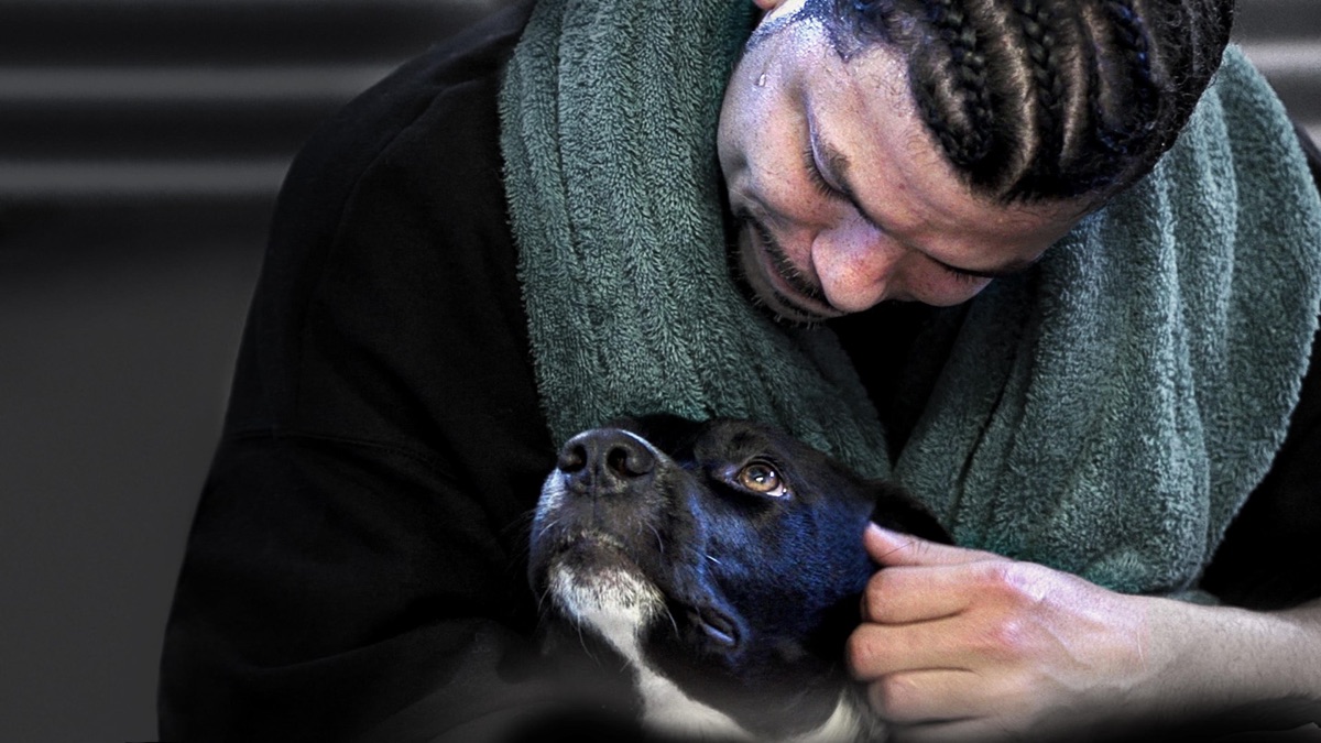 Dogs on the Inside - Apple TV (CA)