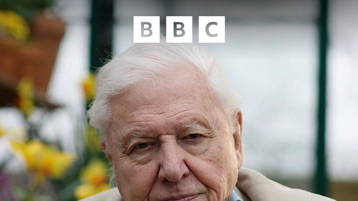 ‎David Attenborough: Der Klang der Natur - Apple TV