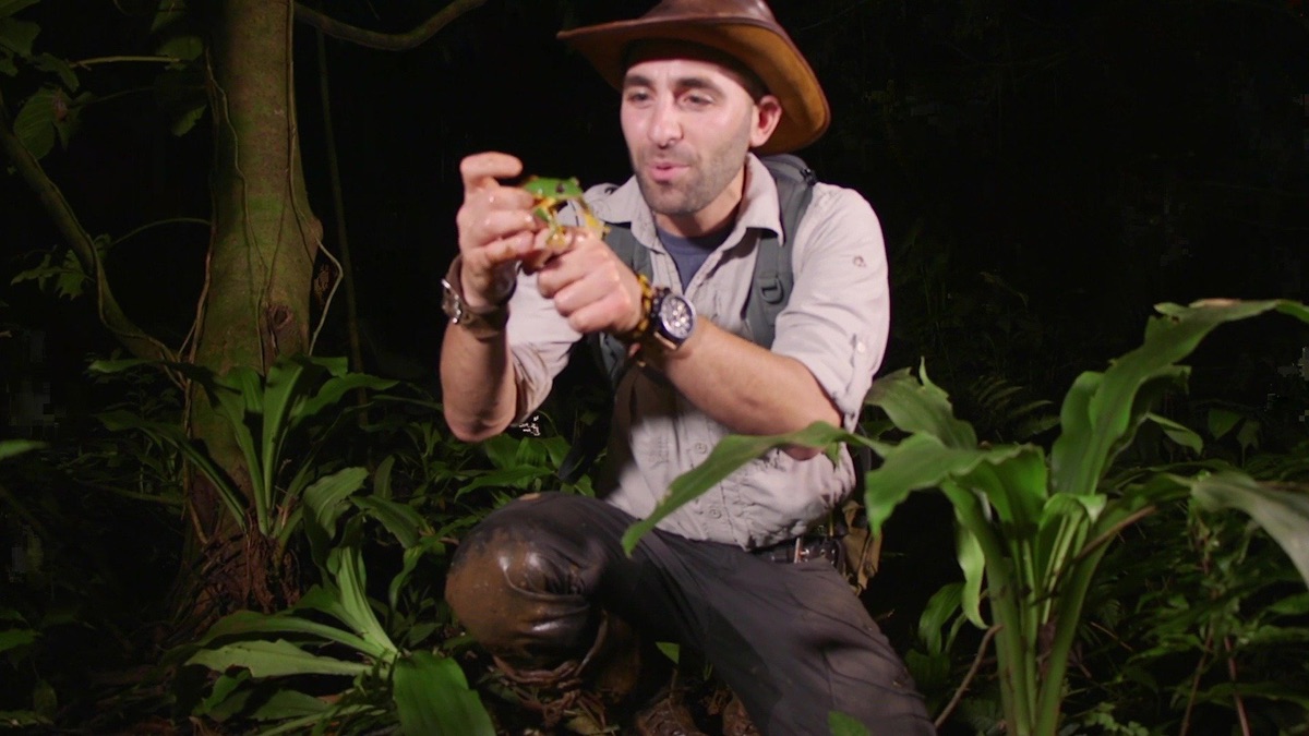 Frogs Galore – Brave Wilderness (Season 1, Episode 4) - Apple TV (AU)