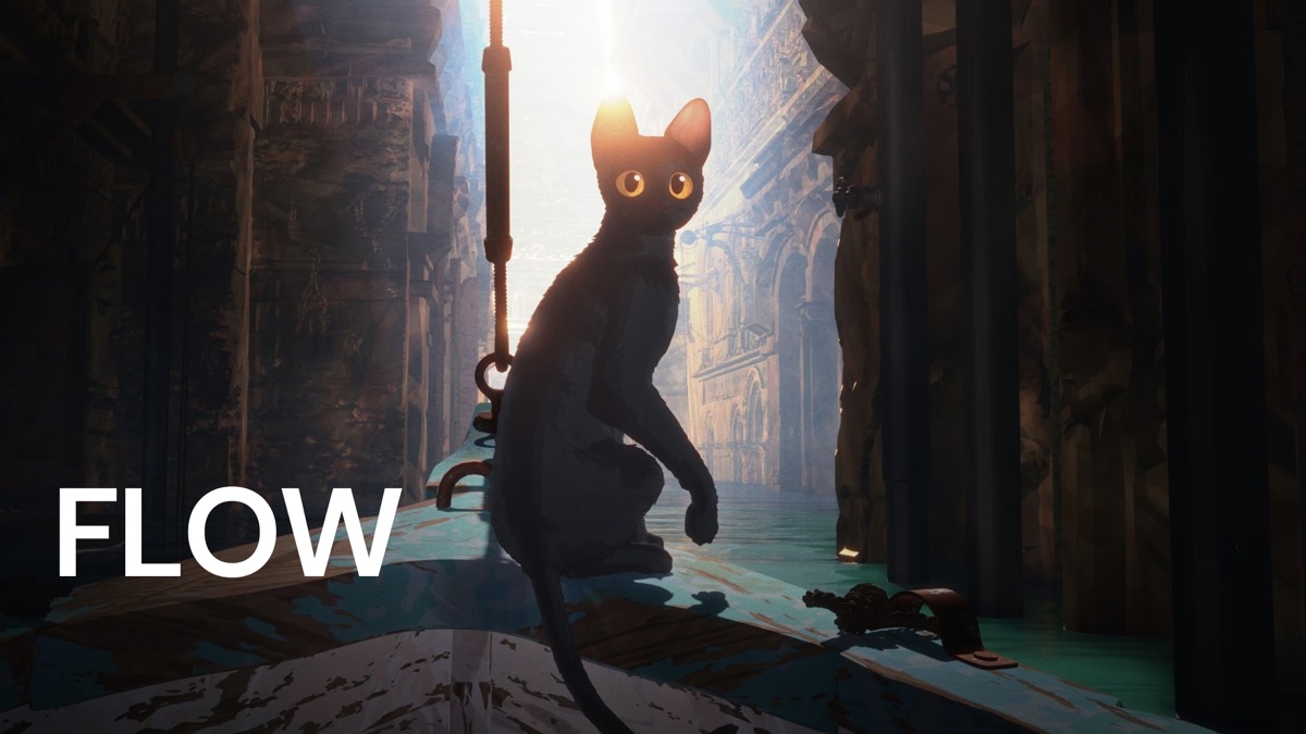 ‎Flow - Apple TV