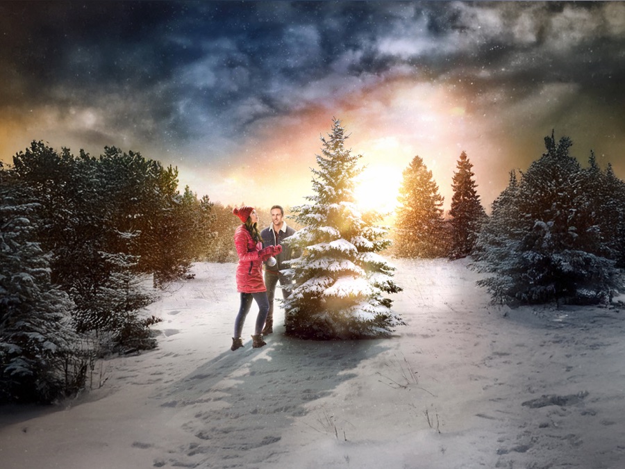 The Christmas Promise - Apple TV (DK)