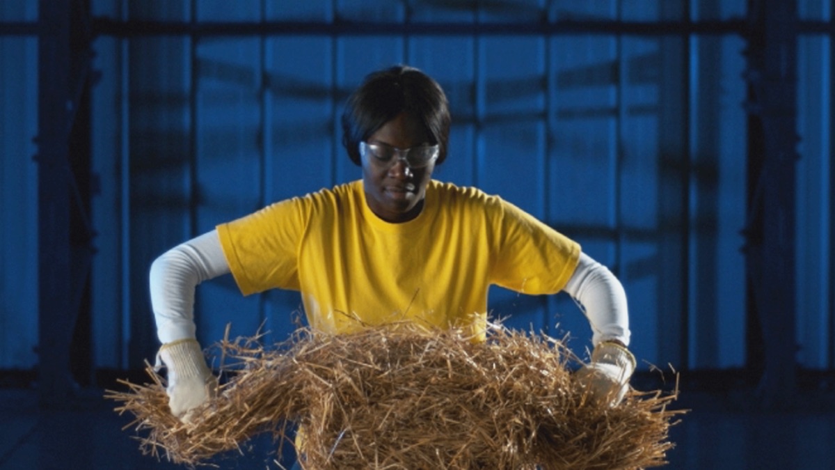 Episode 15 - Science of Stupid (Series 7, Episode 15) - Apple TV (LB)