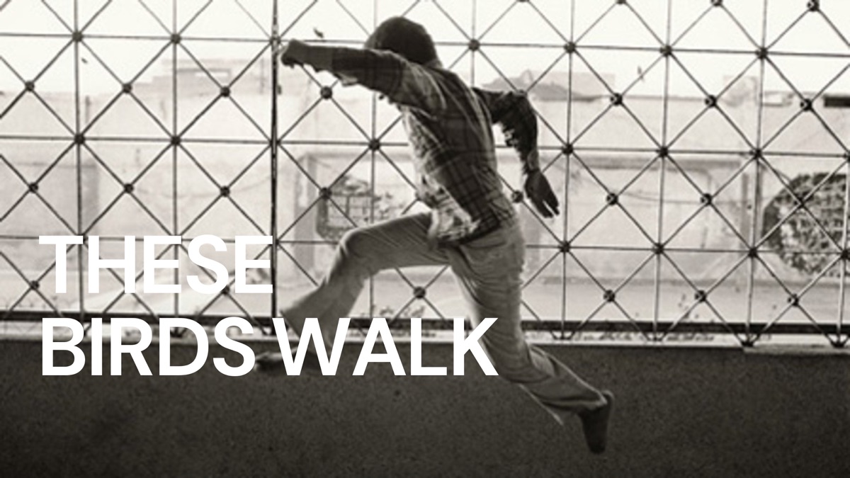 These Birds Walk - Apple TV (CA)
