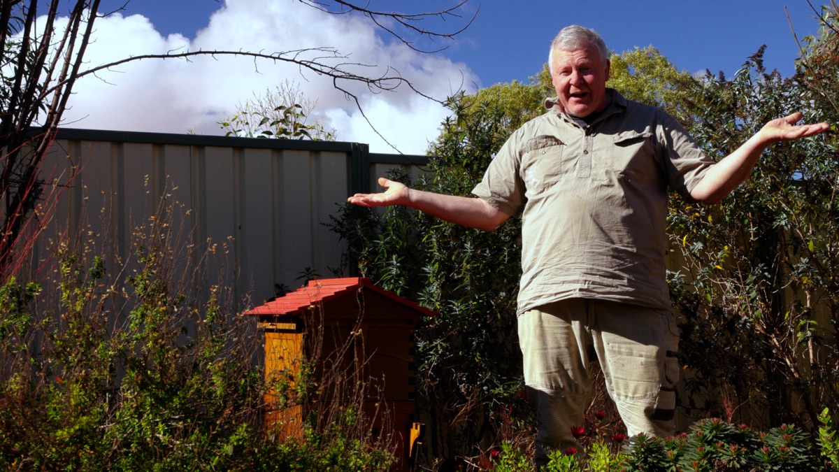 ‎So You Want to Be a Beekeeper? - Basics of Beekeeping: The Bush Bee ...