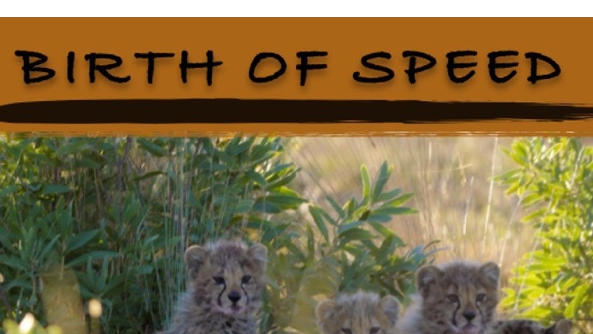 ‎Birth of Speed - Apple TV