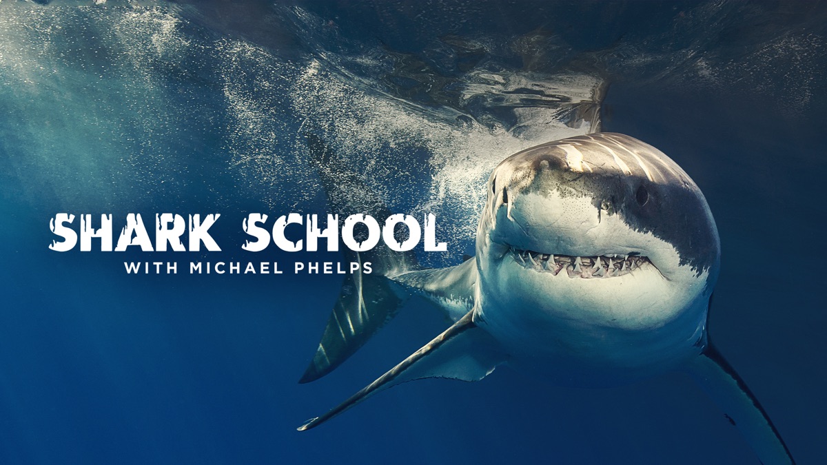 ‎Shark School With Michael Phelps - Apple TV