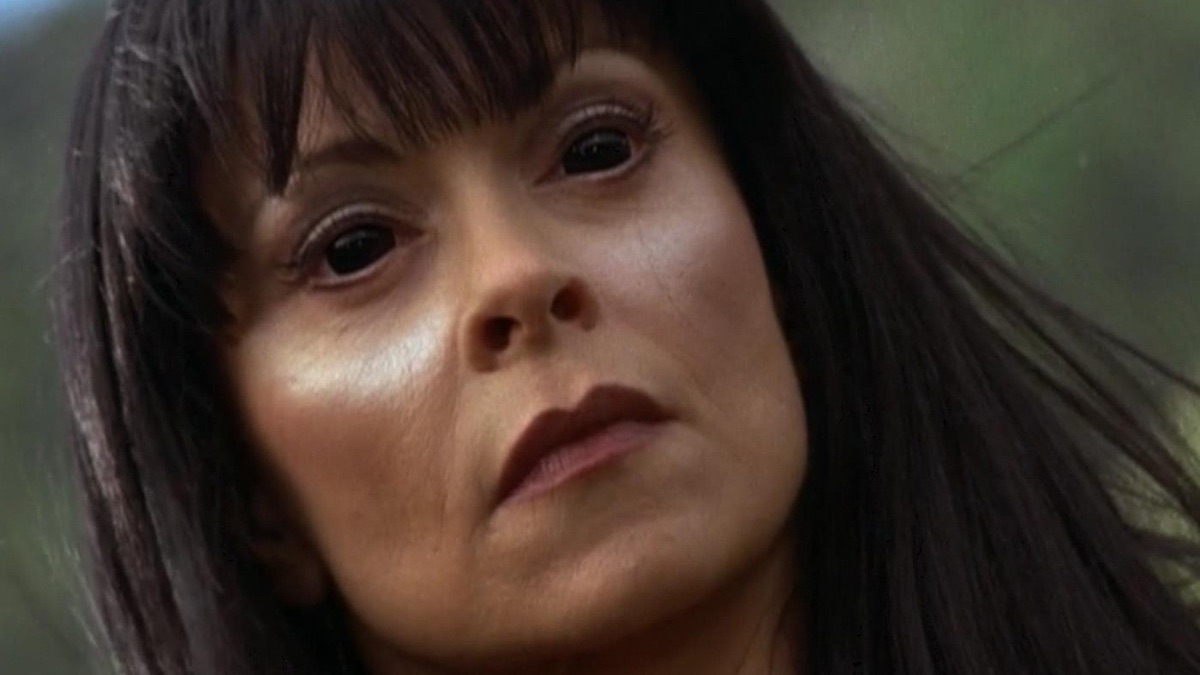 Cynthia Rothrock Hercules