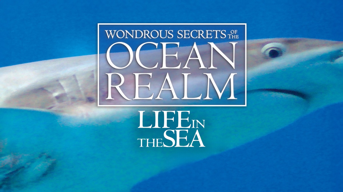 ‎Wondrous Secrets of the Ocean Realm: Life in the Sea - Apple TV