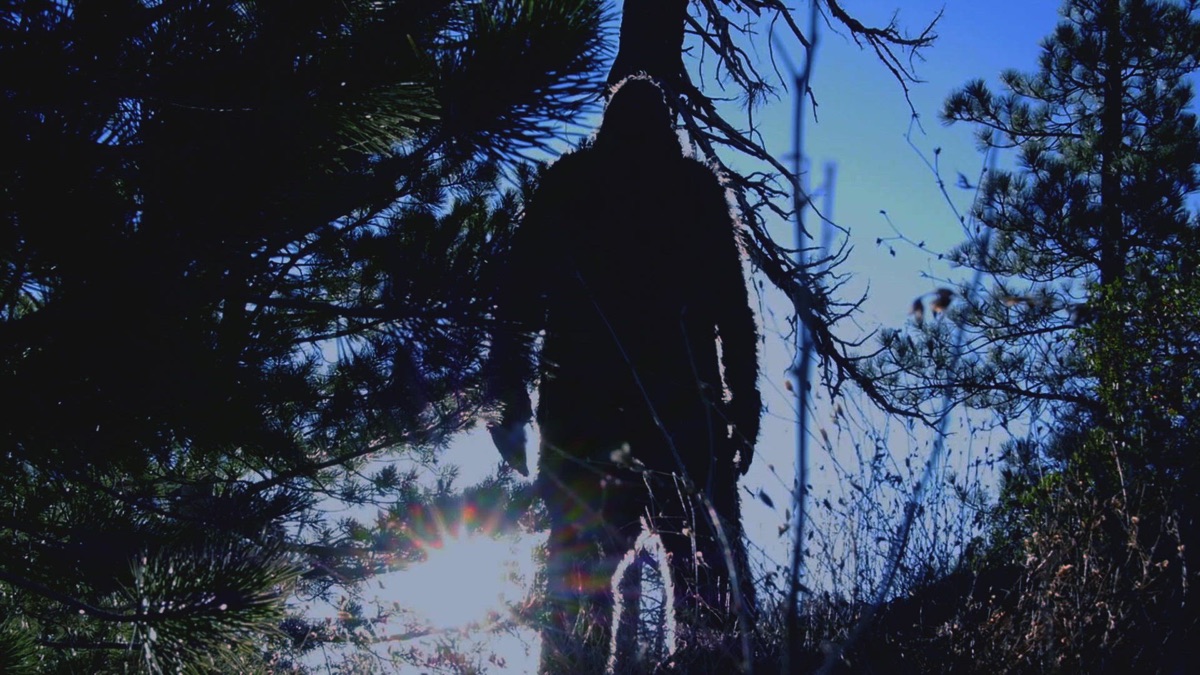 The Top Ten Extraordinary Creatures – Ancient Aliens (Season 20 ...