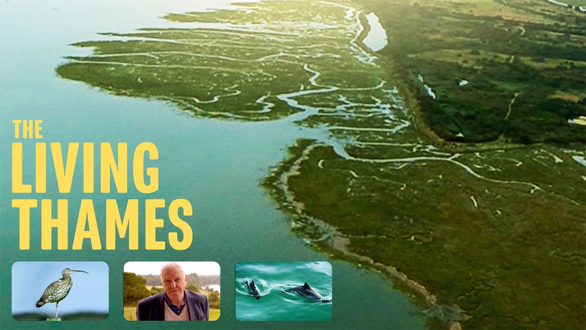 ‎The Living Thames - Apple TV