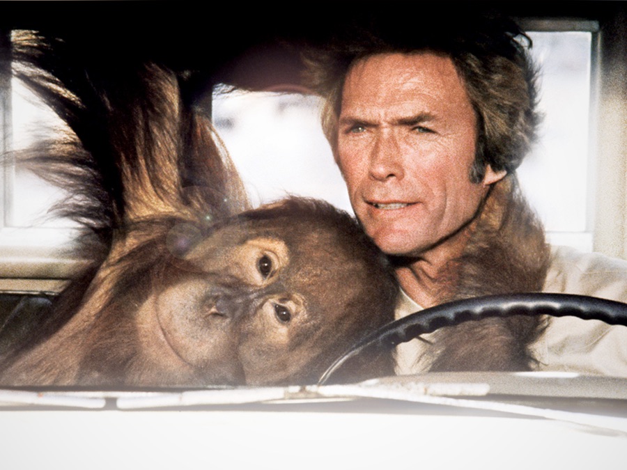 Pendenciero Rebelde - Apple TV (MX)