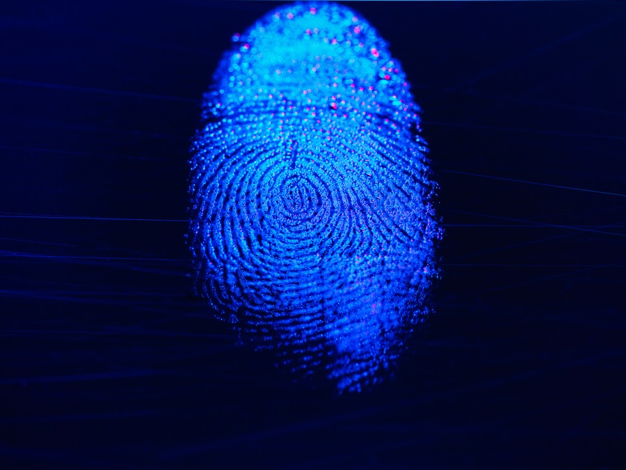 Solved: Extreme Forensics - Apple TV