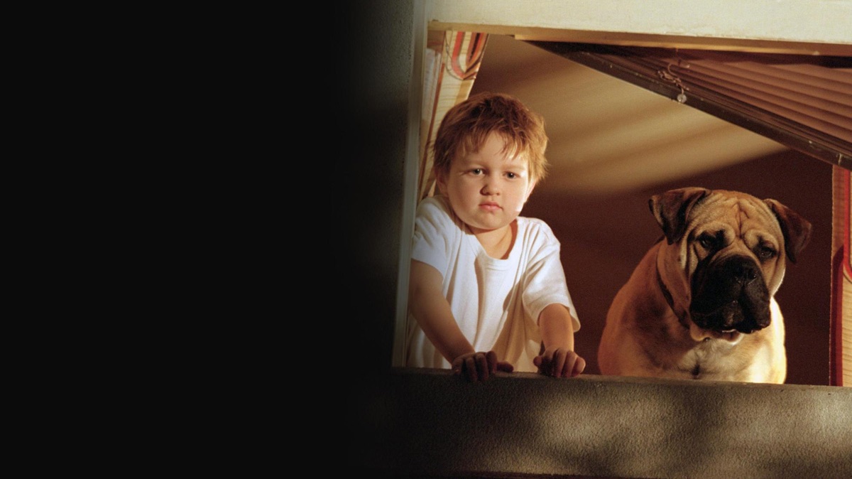 See Spot Run - Apple TV