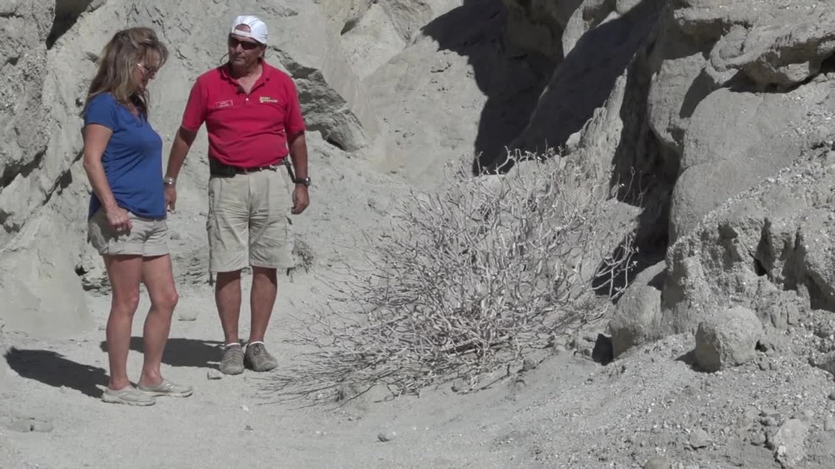 Palm Springs: Desert Tripping and Water Spa Dipping – Outta Town ...