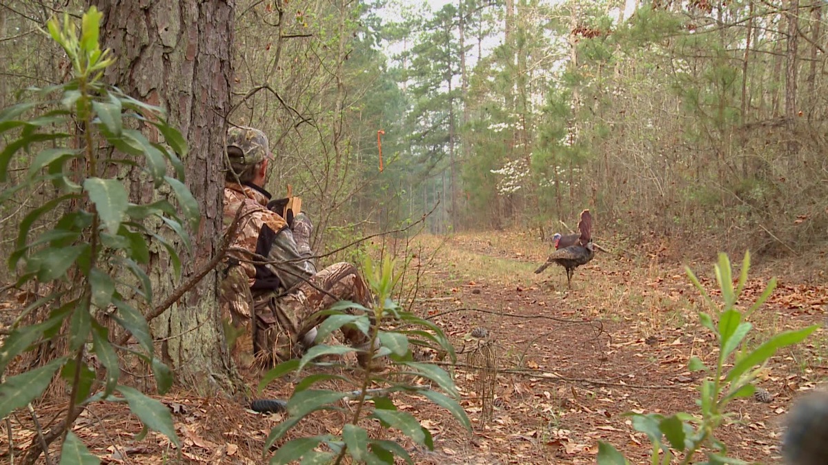 Circle N' Turkey Hunting – Realtree Outdoors (Season 5, Episode 1 ...