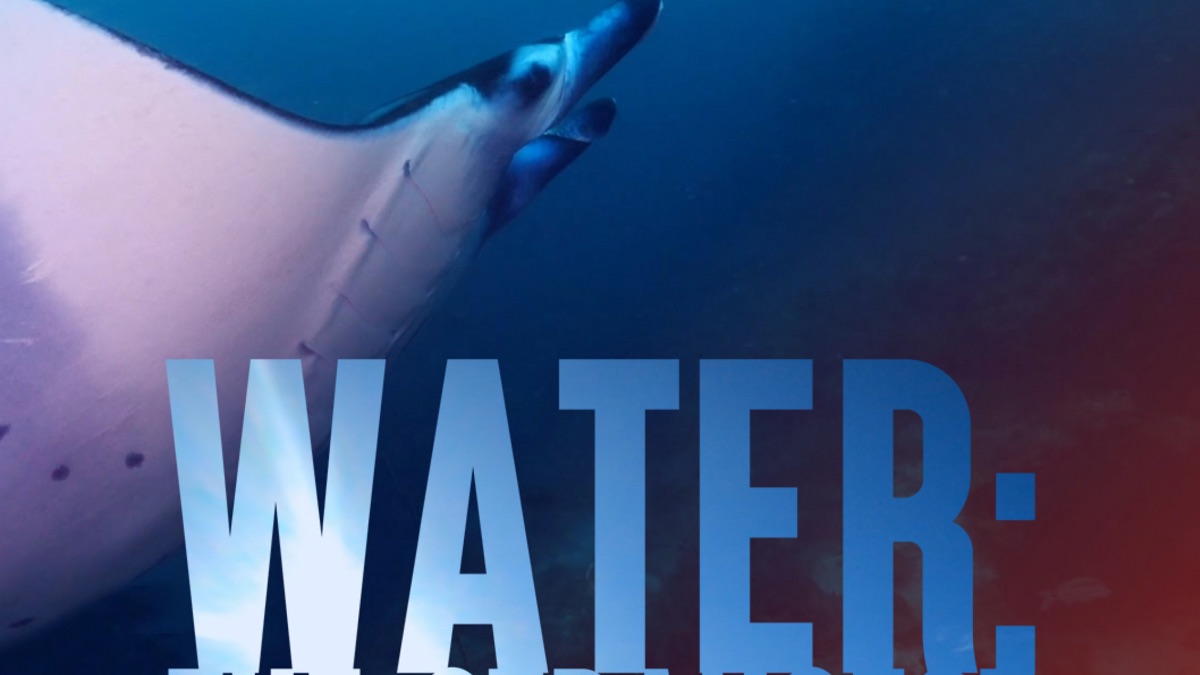 ‎Water: The Strangest Liquid - Apple TV