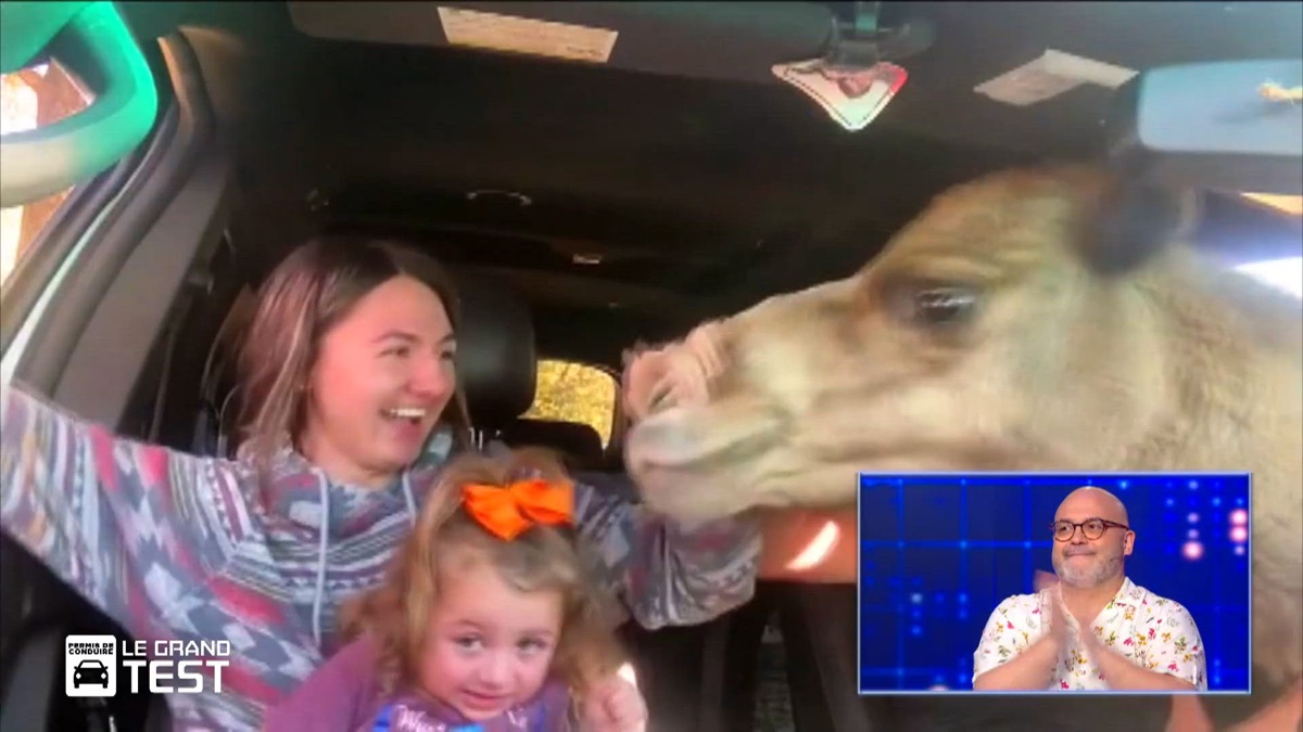 ‎Permis de conduire : le grand test - Le grand test (Series 1, Episode ...