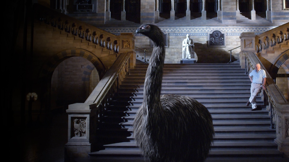 Museum Alive with David Attenborough - Nature (Season 43, Episode 9 ...
