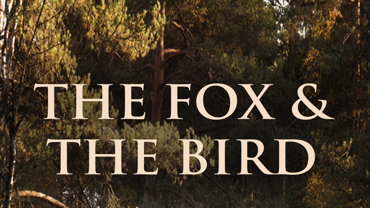 ‎The Fox and the Bird - Apple TV