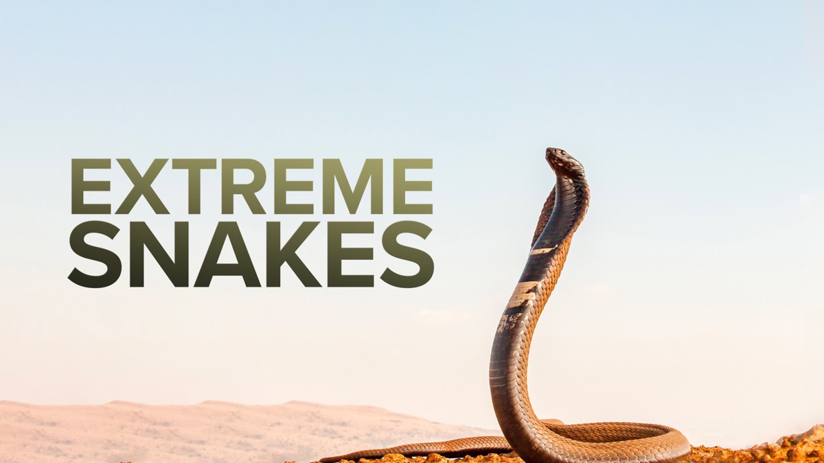 Extreme Snakes: Australia - Apple TV (UK)
