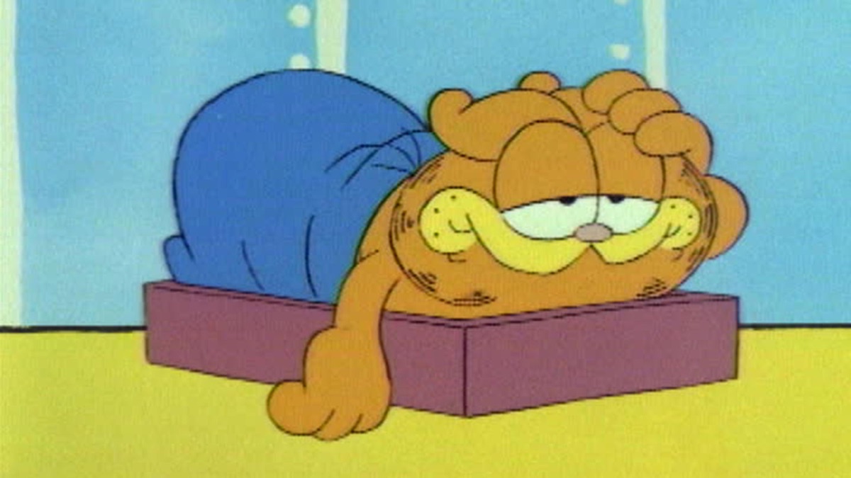 Garfield Sleeping In Box