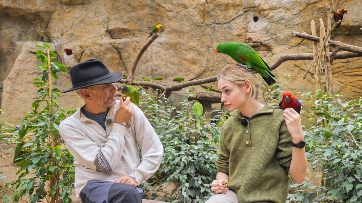 Final sprint Carcassonne - Race Across the World Norway (Series 1 ...