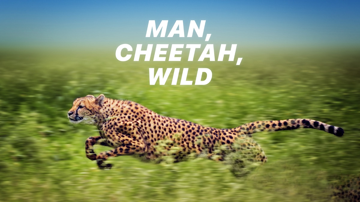 ‎Man, Cheetah, Wild - Apple TV
