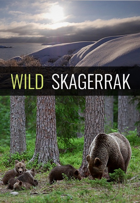Skagerrak: The Hunting Grounds of the Orcas - Apple TV (UK)