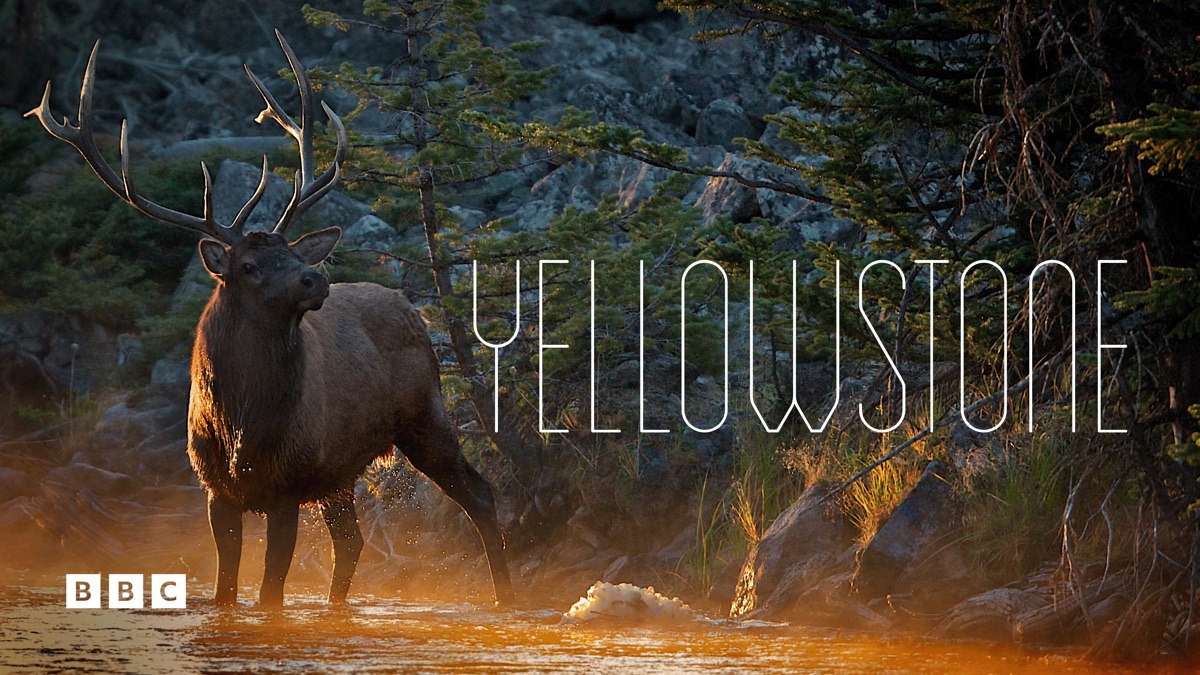 Yellowstone - Official Trailer - Apple TV
