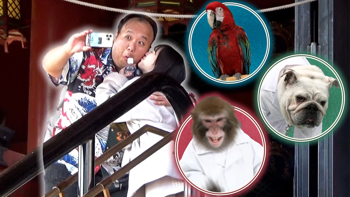 ‎Episode 1 - Homo Sapiens Laboratory (Season 1, Episode 101) - Apple TV ...