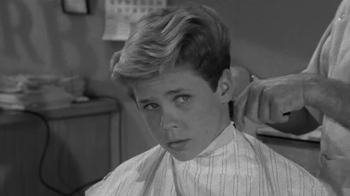 Buddy Hart Leave It To Beaver