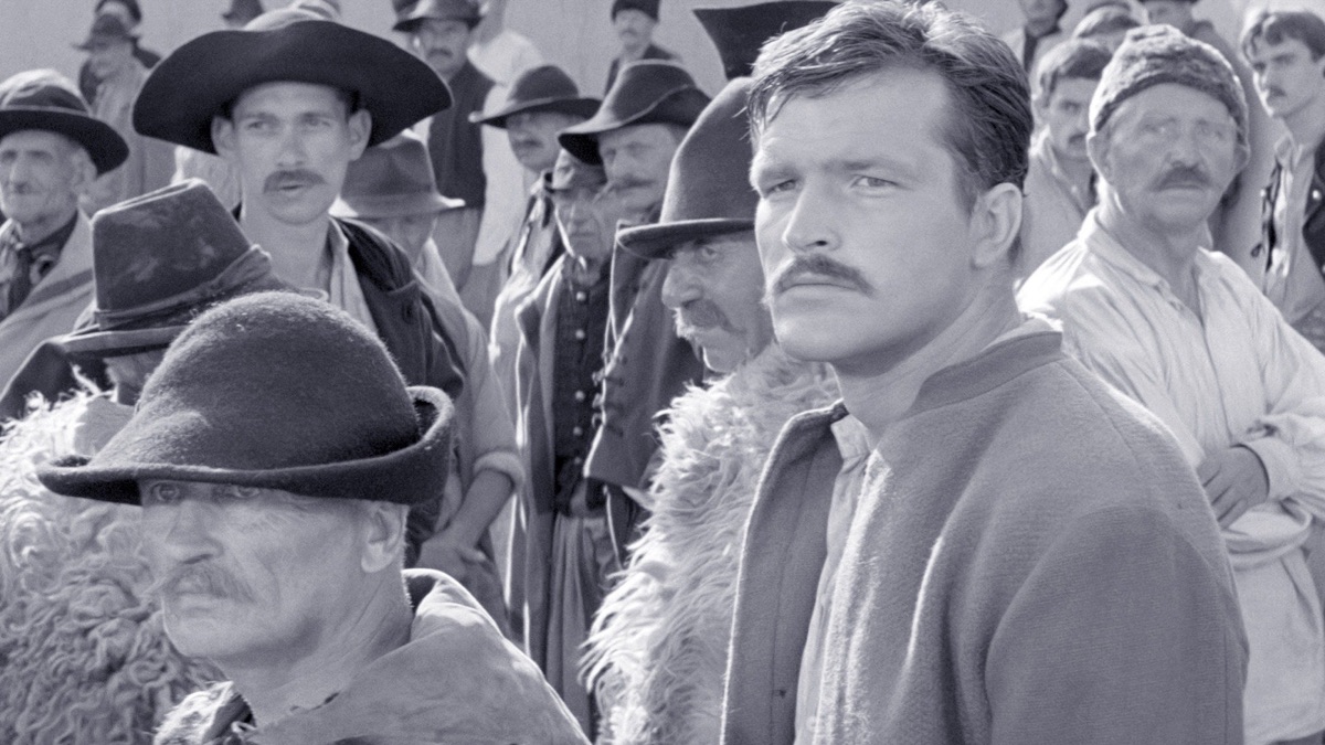 The Round-Up - Apple TV