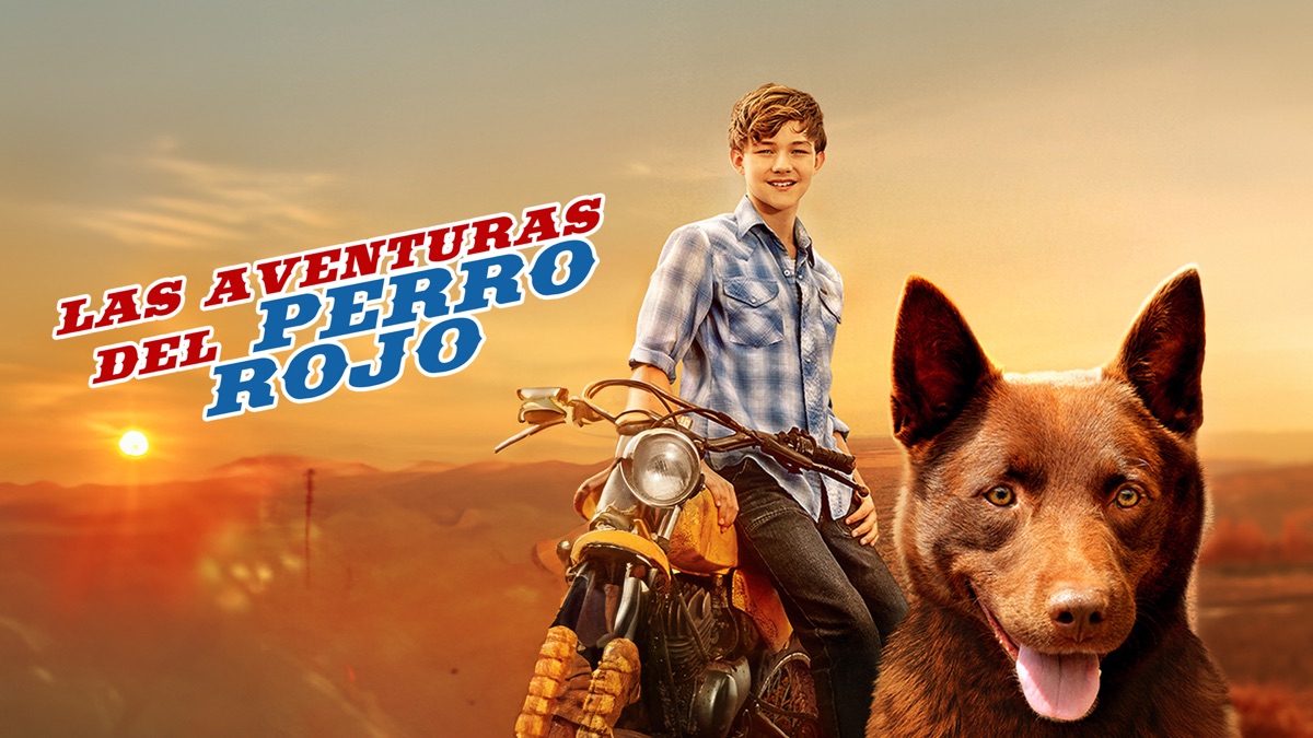 ‎Red Dog - Apple TV