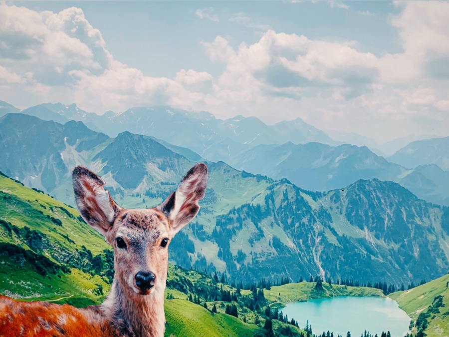 Hidden Germany - Apple TV