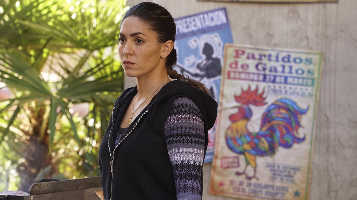 Bouncing Back - Agents of S.H.I.E.L.D. (Series 3, Episode 11) - Apple ...