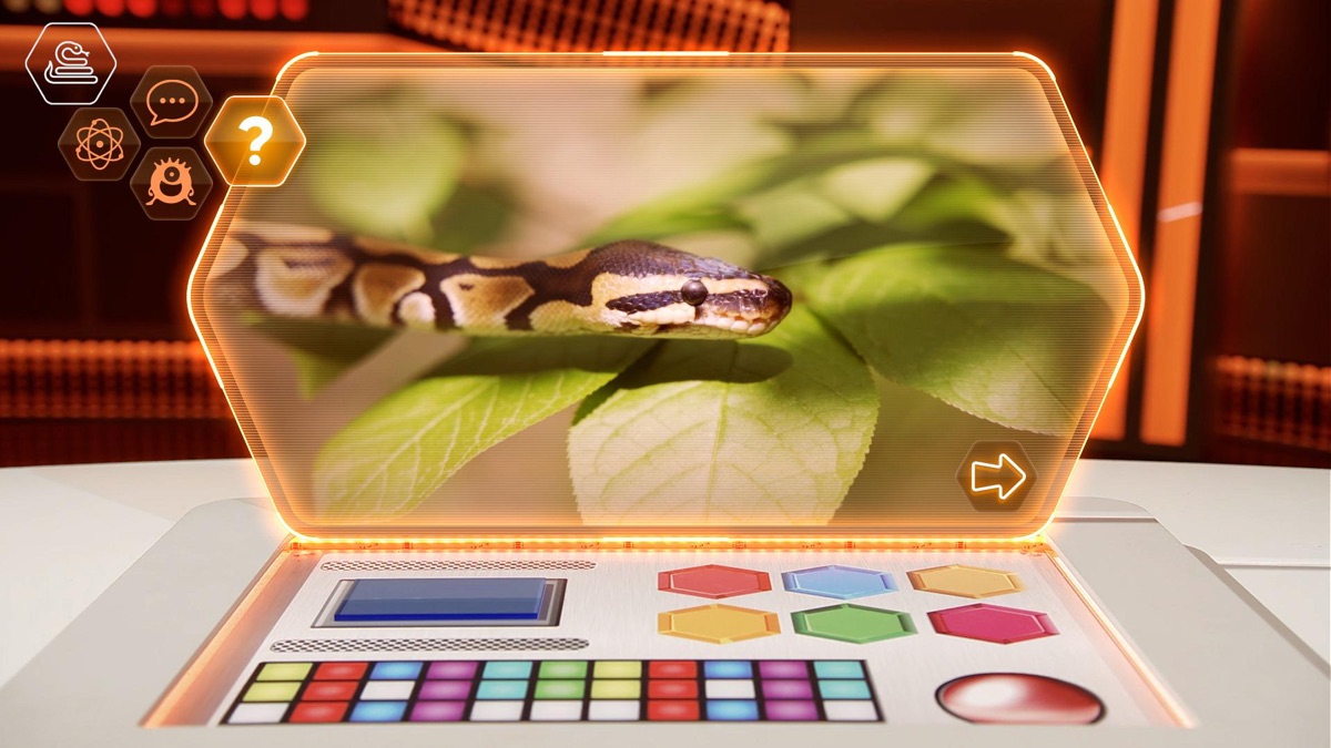 Tout savoir sur les serpents - Les Extra Curieux (saison 1, épisode 111 ...