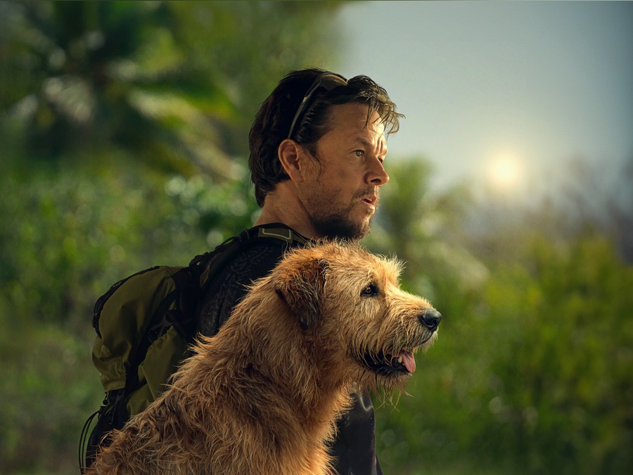 Arthur the King - Apple TV (EG)