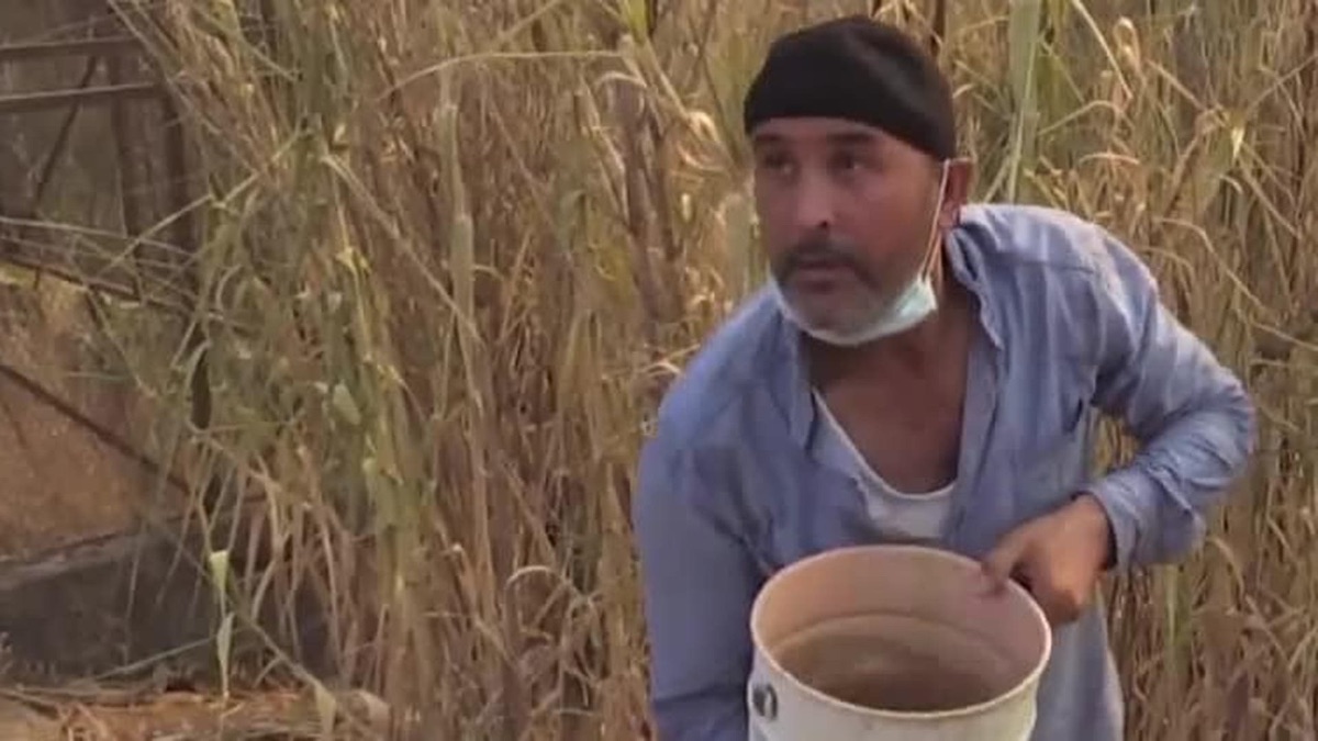 Climate Crisis: Wildfires - Apple TV