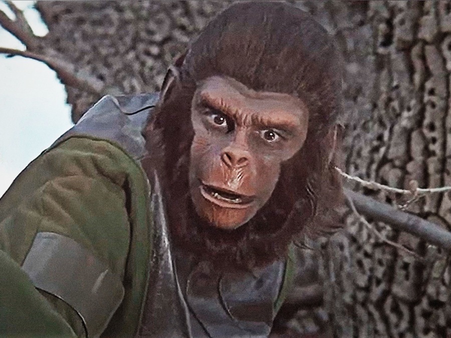 Conquest of the Planet of the Apes - Apple TV (MX)