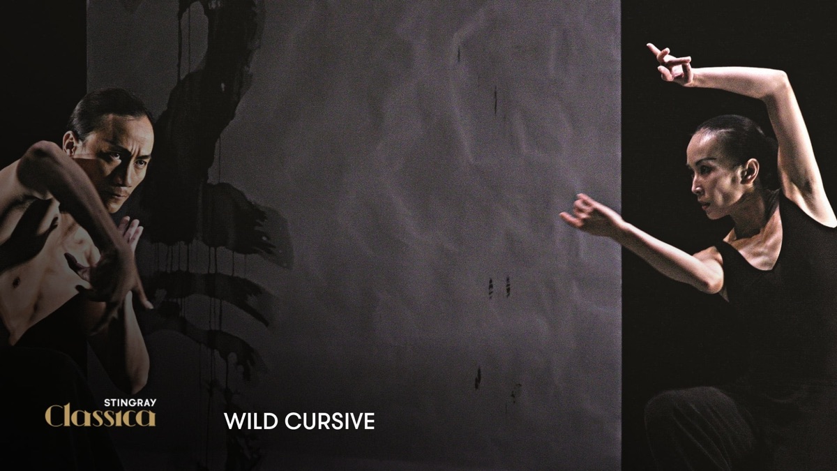 Wild Cursive - Apple TV
