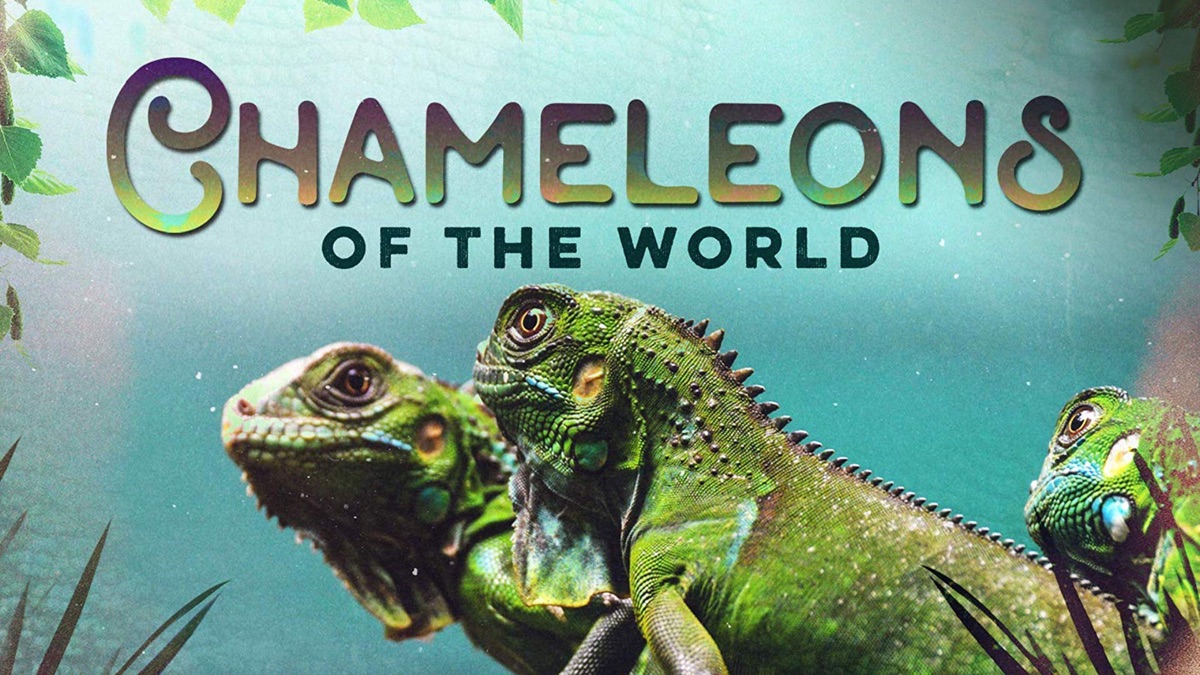 ‎Chameleons of the World - Apple TV