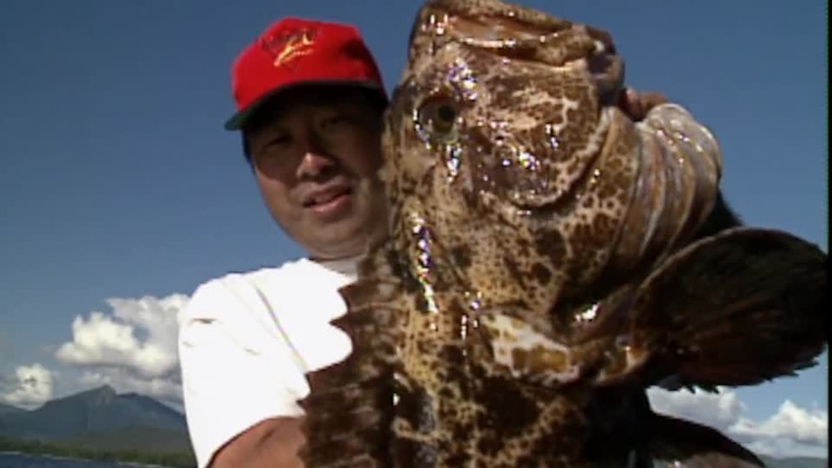 Angler's Paradise: Alaska's Boardwalk Wilderness Lodge, Part 3 - Inside ...