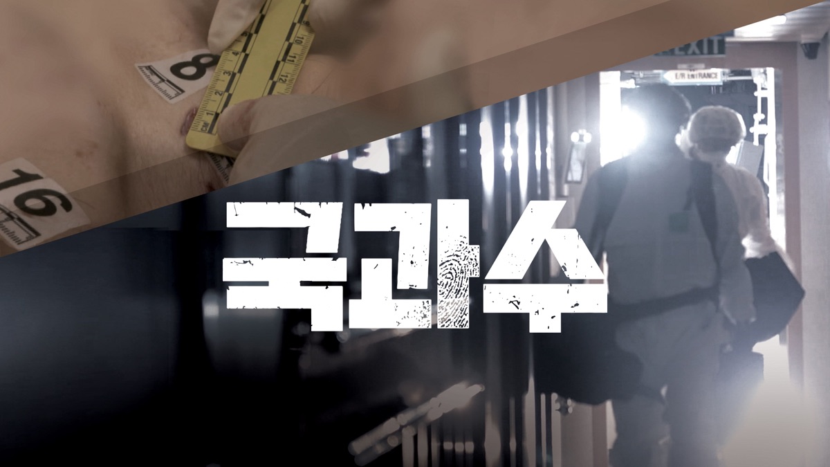 NFS: National Forensic Service - Apple TV (KR)