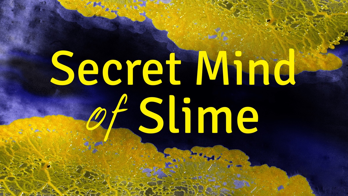 Secret Mind of Slime - Apple TV