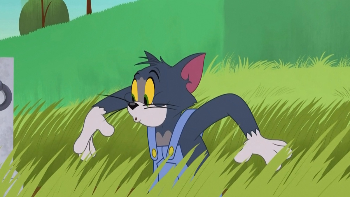 ‎Kid Stuff - The Tom and Jerry Show (Series 3, Episode 28) - Apple TV (LV)