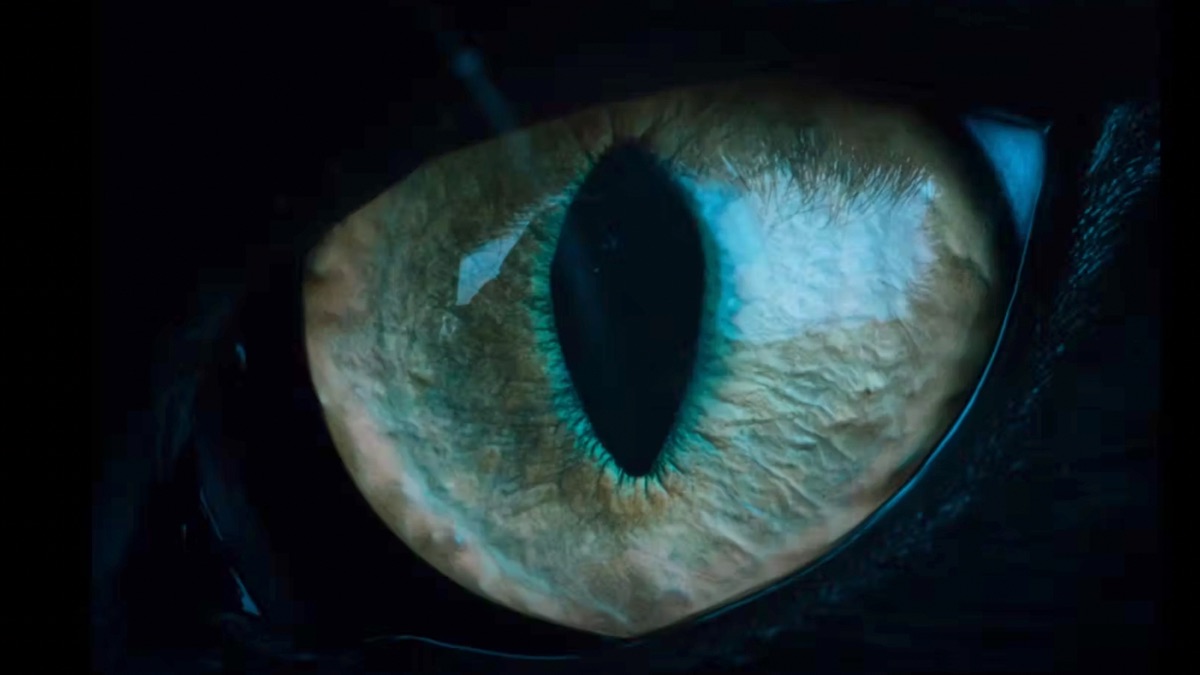 A Short Story - Apple TV