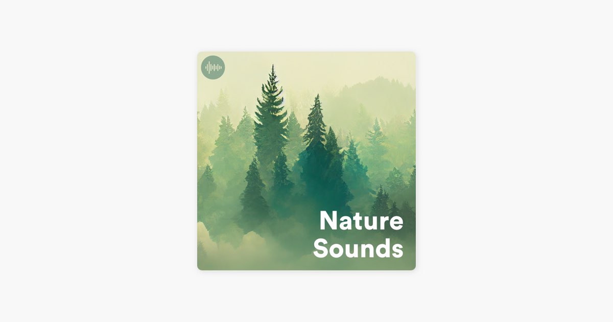 ‎Nature Sounds Relaxing Music 🍃 Rain Sounds, Ocean Waves, Bird Songs ...