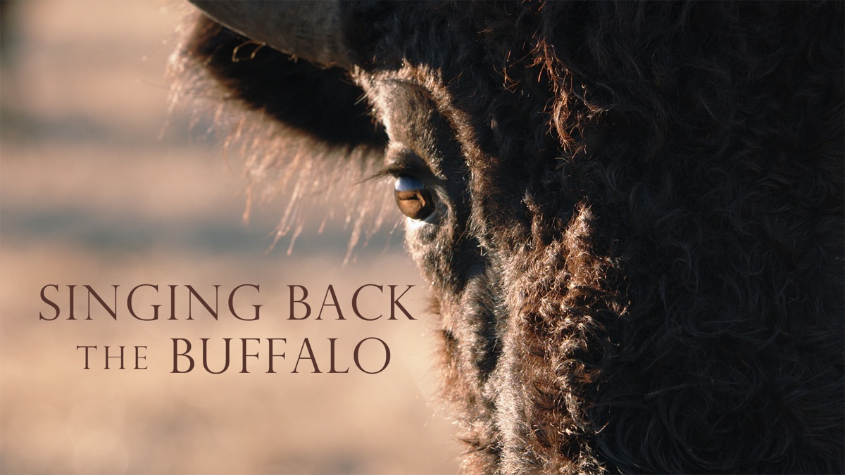 ‎Singing Back the Buffalo - Apple TV