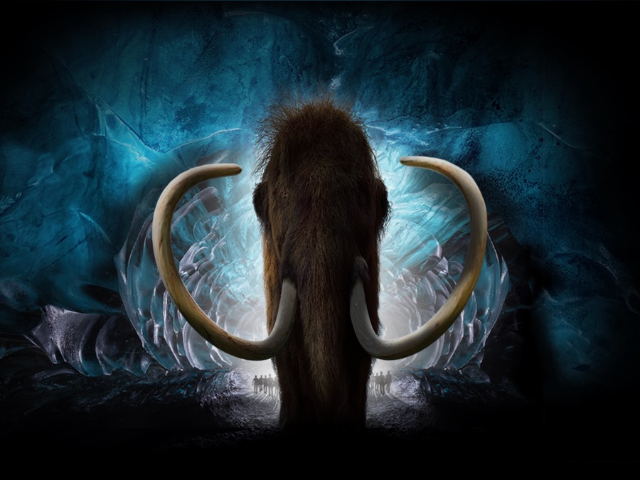 Lost Beasts of the Ice Age - Apple TV