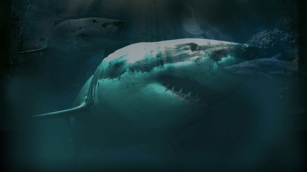Murder By Shark: Mysteries Of The Birkenhead Disaster - Apple TV